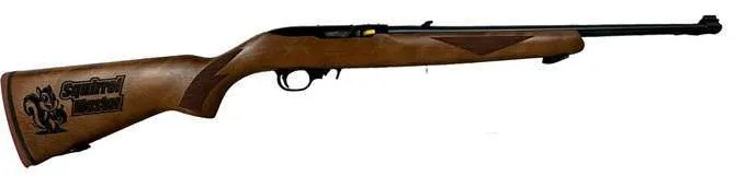 RARE RUGER 10/22 SQUIRREL .22 LR Rifle HS28 - Semi Auto Rifles at ...